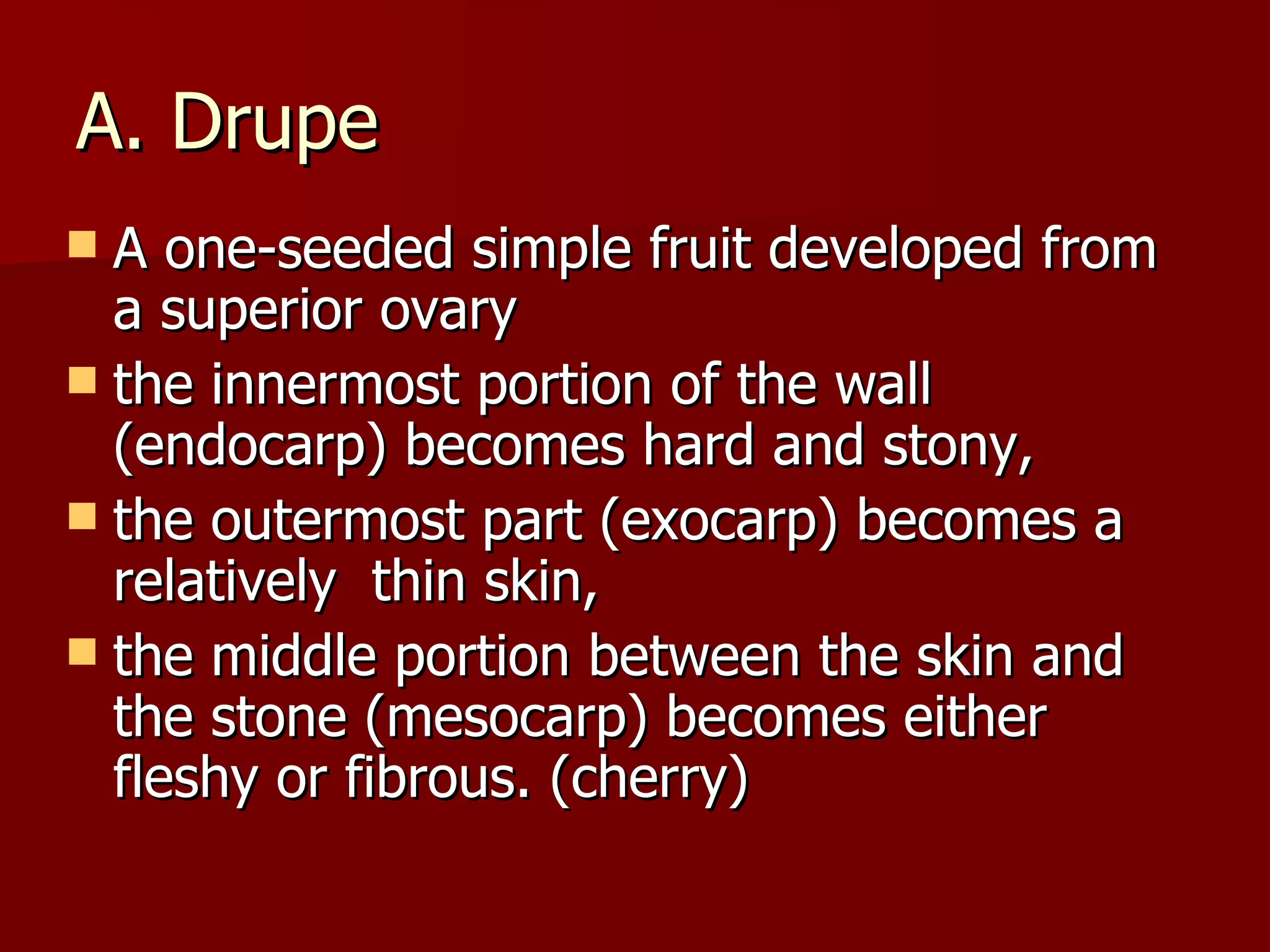 Types Of Fruits | PPT