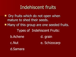 Types Of Fruits | PPT