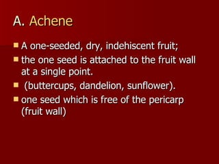 Types Of Fruits | PPT