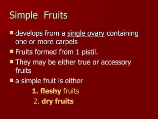 Simple Fruit Examples