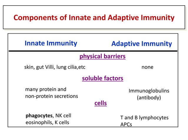 Types-of-Immunity.ppt | Biological Sciences | Science