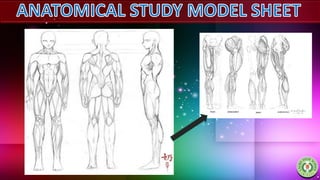 Types-of-Model-Sheet-pptx-1.pdfbsjjsjsis | PDF