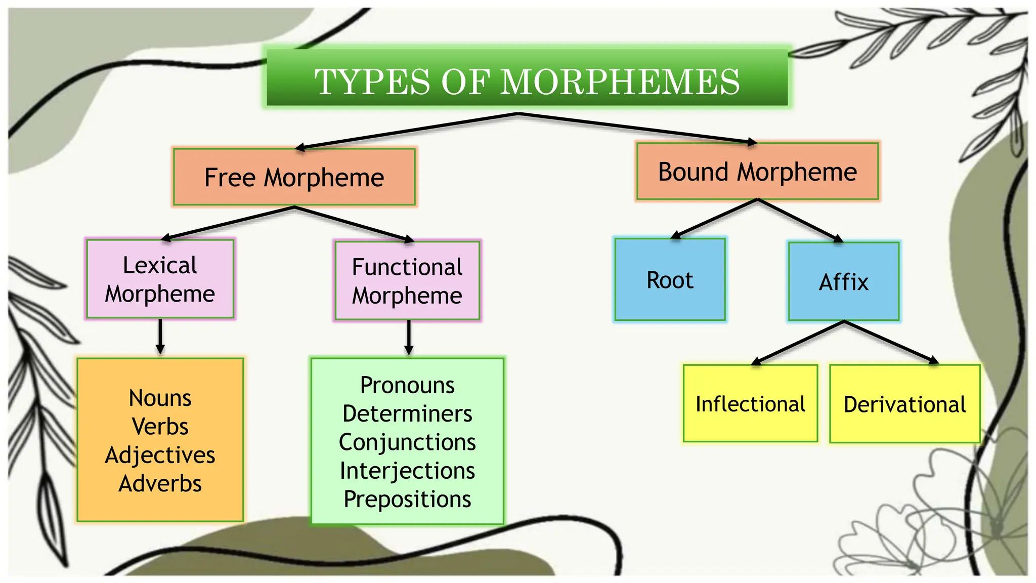 The Different Types-of-Morphemes and Examples-1.pptx