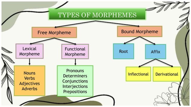 The Different Types-of-Morphemes and Examples-1.pptx