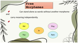 The Different Types-of-Morphemes and Examples-1.pptx