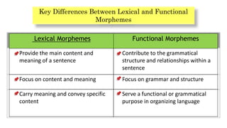 The Different Types-of-Morphemes and Examples-1.pptx