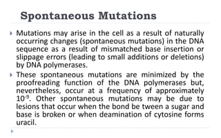 Mutation | PDF