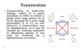 Mutation | PPT