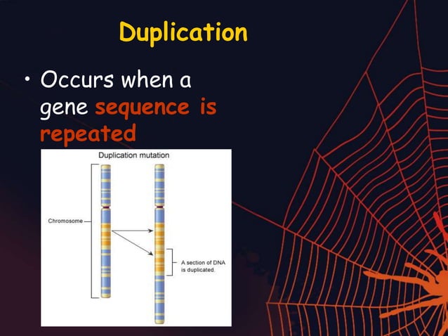 types-of-mutations.ppt | Genetics | Science