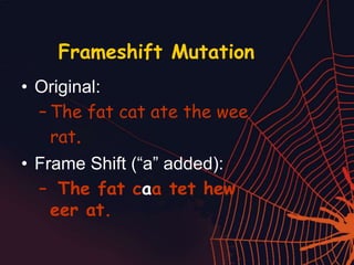 types-of-mutations.ppt | Genetics | Science