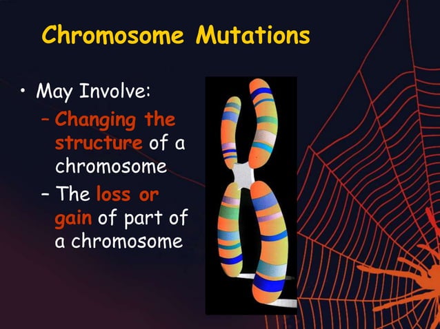 types-of-mutations.ppt | Genetics | Science