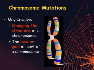 types-of-mutations.ppt for science grade 10 | PPT