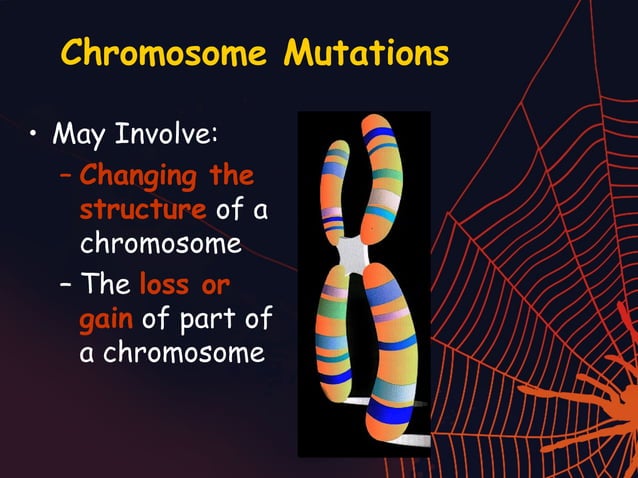 types-of-mutations.ppt for science grade 10 | PPT