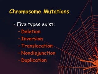 types-of-mutations.ppt for science grade 10 | PPT
