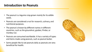 Types of Peanuts | PPT