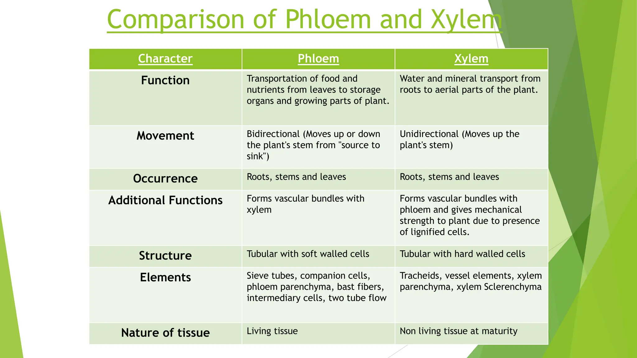 Types-of-Plant-Cells-animal-cells.pptx