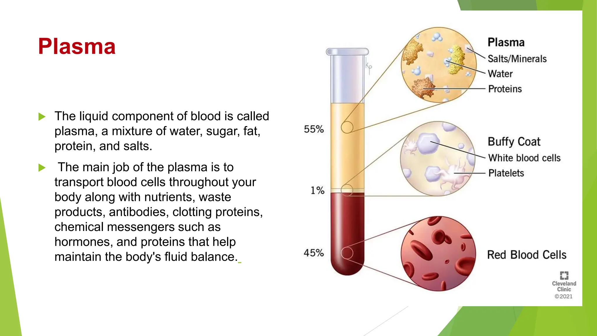 Types-of-Plant-Cells-animal-cells.pptx