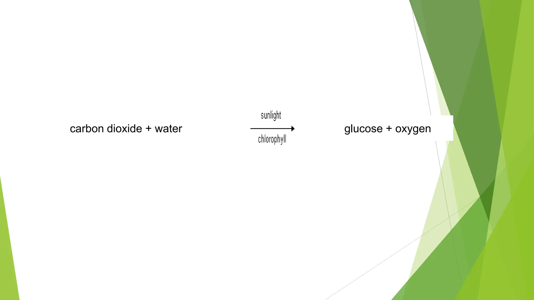 Types-of-Plant-Cells-animal-cells.pptx