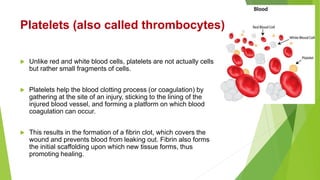 Types-of-Plant-Cells-animal-cells.pptx