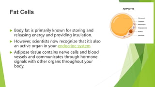 Types-of-Plant-Cells-animal-cells.pptx