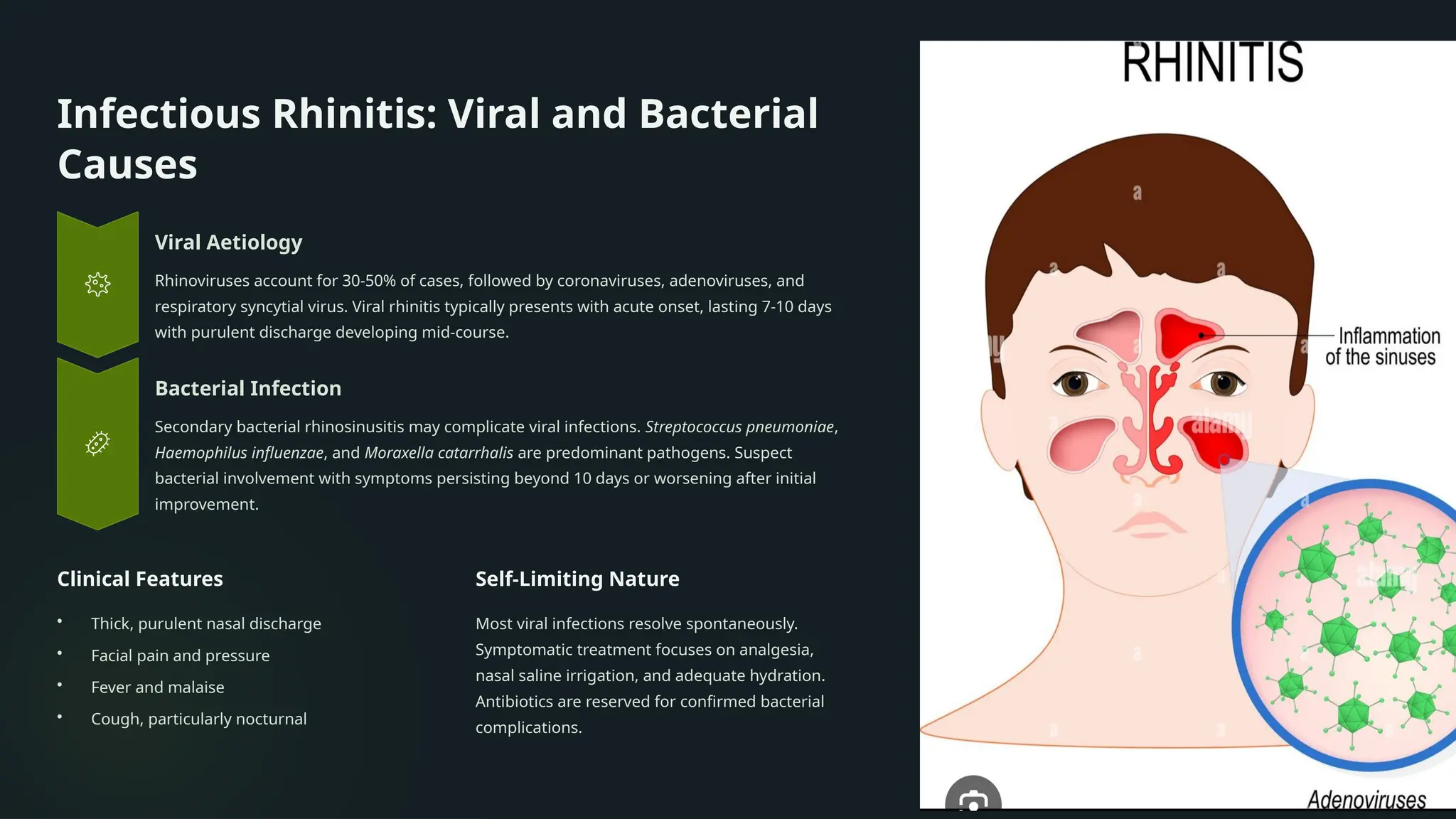 Types-of-Rhinitis-Allergic-Infectious-and-Occupational-Causes.pptx