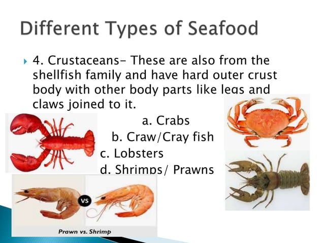Types of-seafood | PPTX | Cooking | Food & Drink