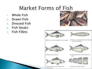 Types of-seafood | PPTX