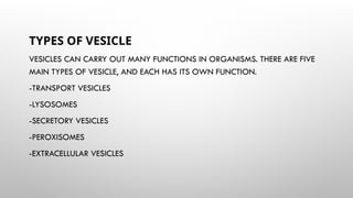 TYPES-OF-VESICLE-TRANSPORT-AND-THEIR-FUNCTIONS.pptx