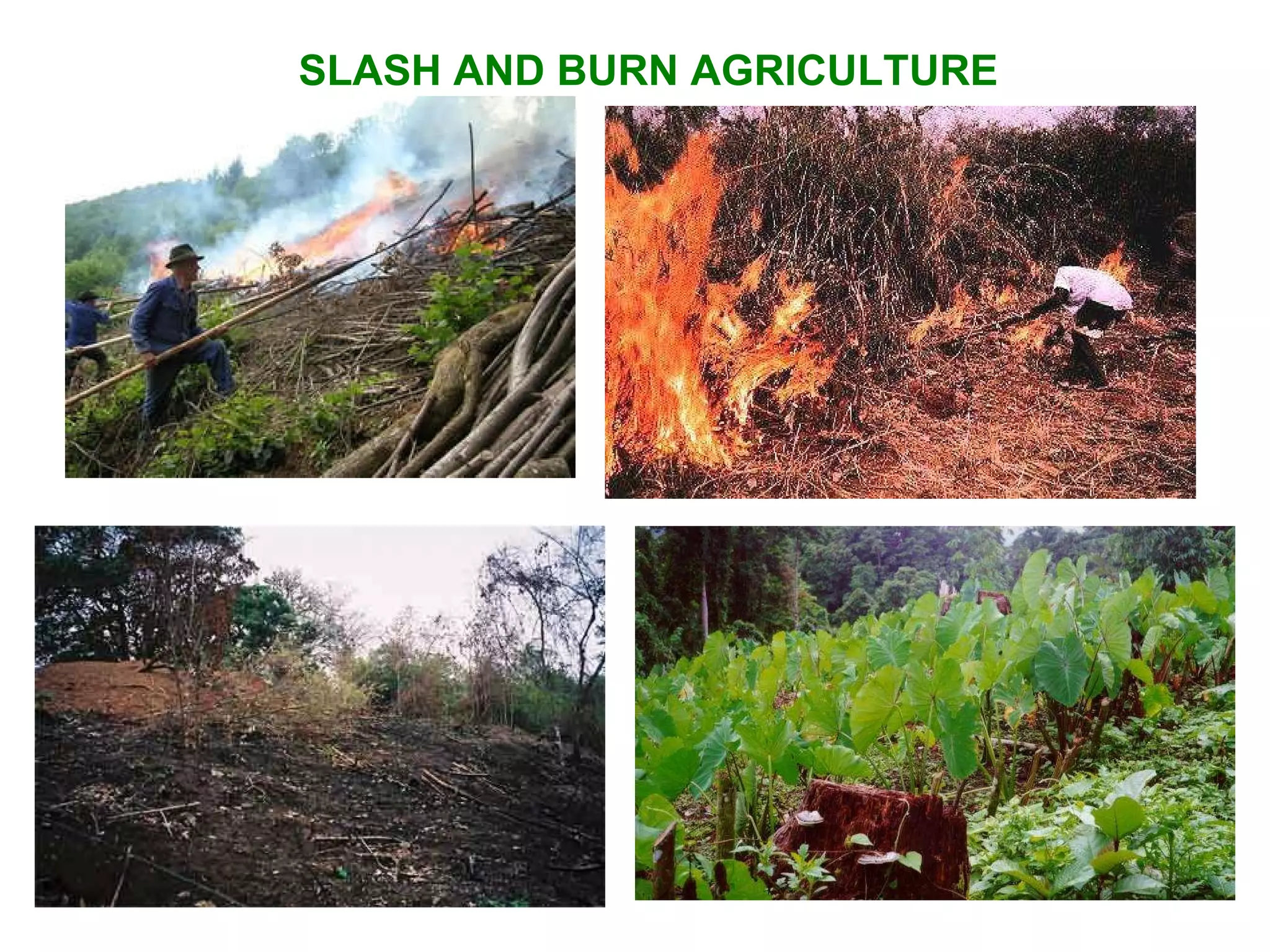 Types of Agriculture | PPS