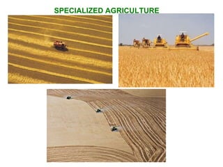 Types of Agriculture | PPS