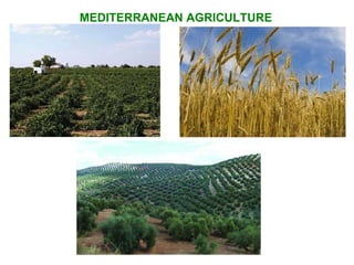 Types of Agriculture | PPS