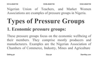 Types and Characteristics of Pressure Groups.pptx