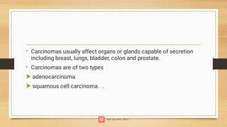 Types and classification of cancer | PDF