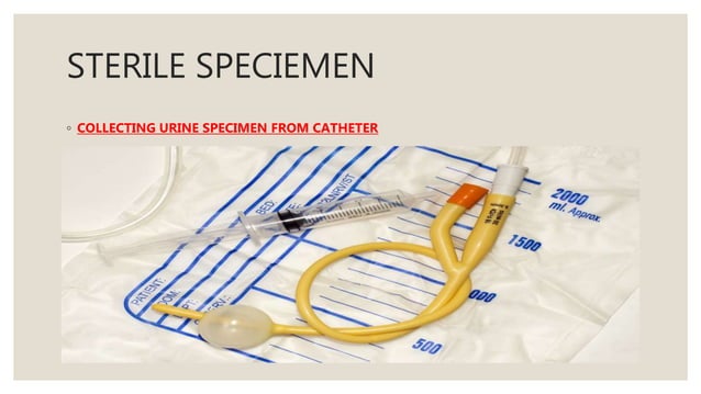 TYPES AND COLLECTION OF URINE SPECIMEN.pptx