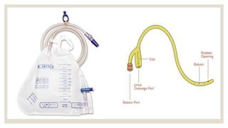 TYPES AND COLLECTION OF URINE SPECIMEN.pptx