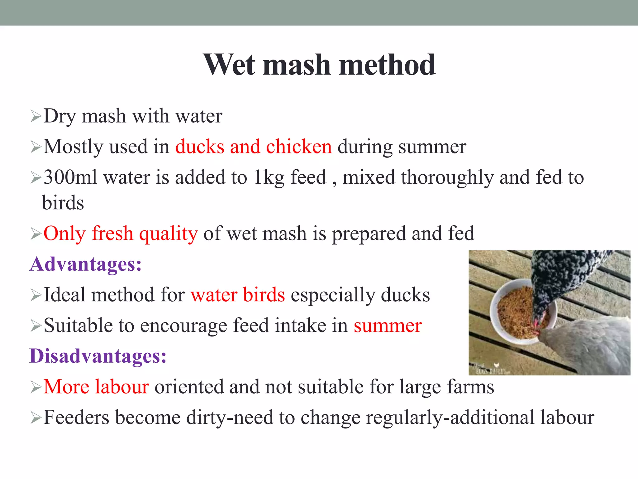 Types and forms of feed and feeding methods in poultry | PPTX