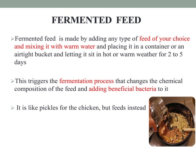 Types and forms of feed and feeding methods in poultry | PPTX