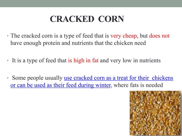 Types and forms of feed and feeding methods in poultry | PPTX