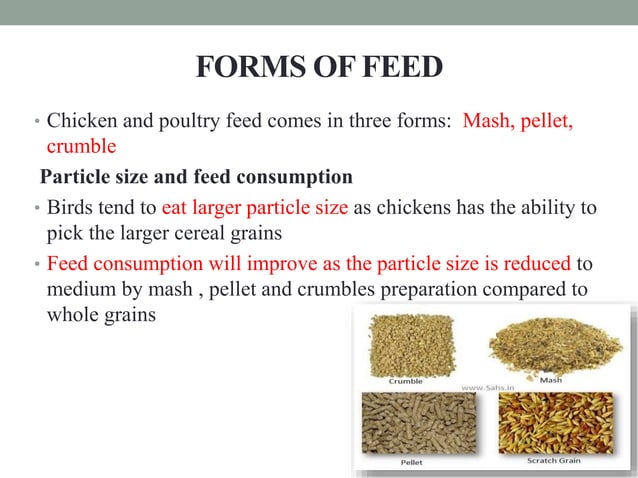 Types and forms of feed and feeding methods in poultry | PPTX