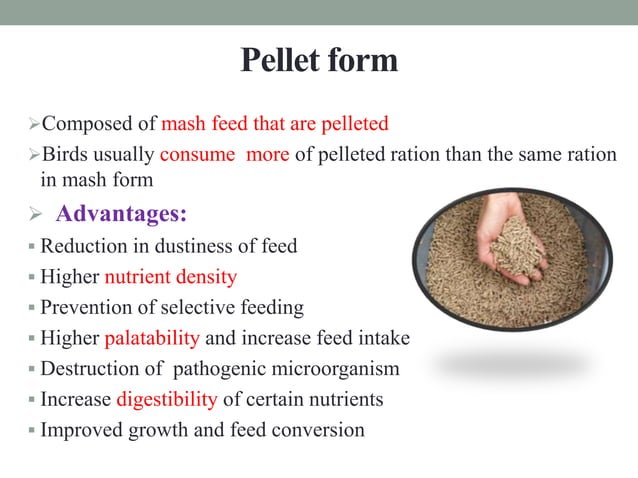 Types and forms of feed and feeding methods in poultry | PPTX