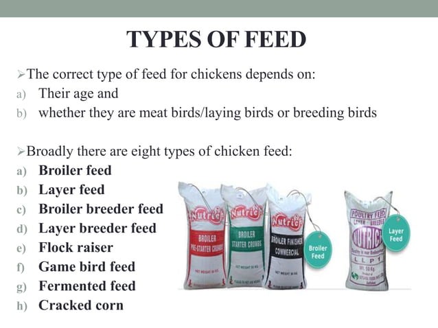 Types and forms of feed and feeding methods in poultry | PPTX