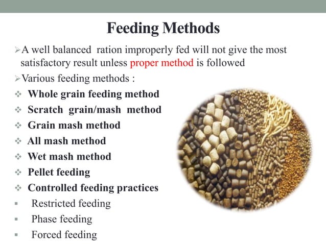 Types and forms of feed and feeding methods in poultry | PPTX