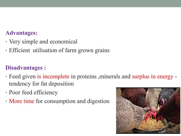 Types and forms of feed and feeding methods in poultry | PPTX