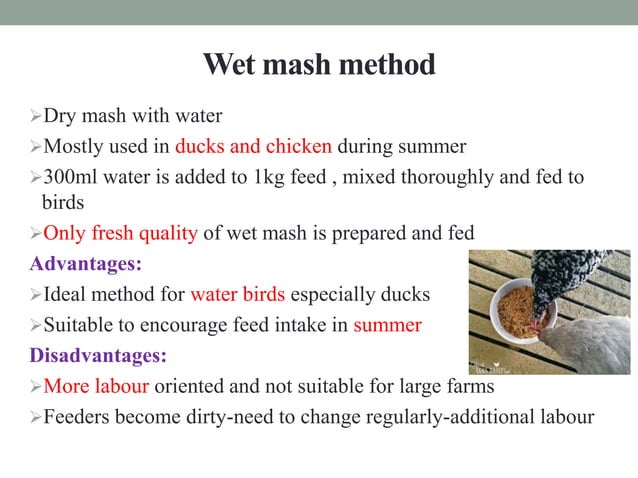 Types and forms of feed and feeding methods in poultry | PPTX