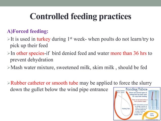 Types and forms of feed and feeding methods in poultry | PPTX