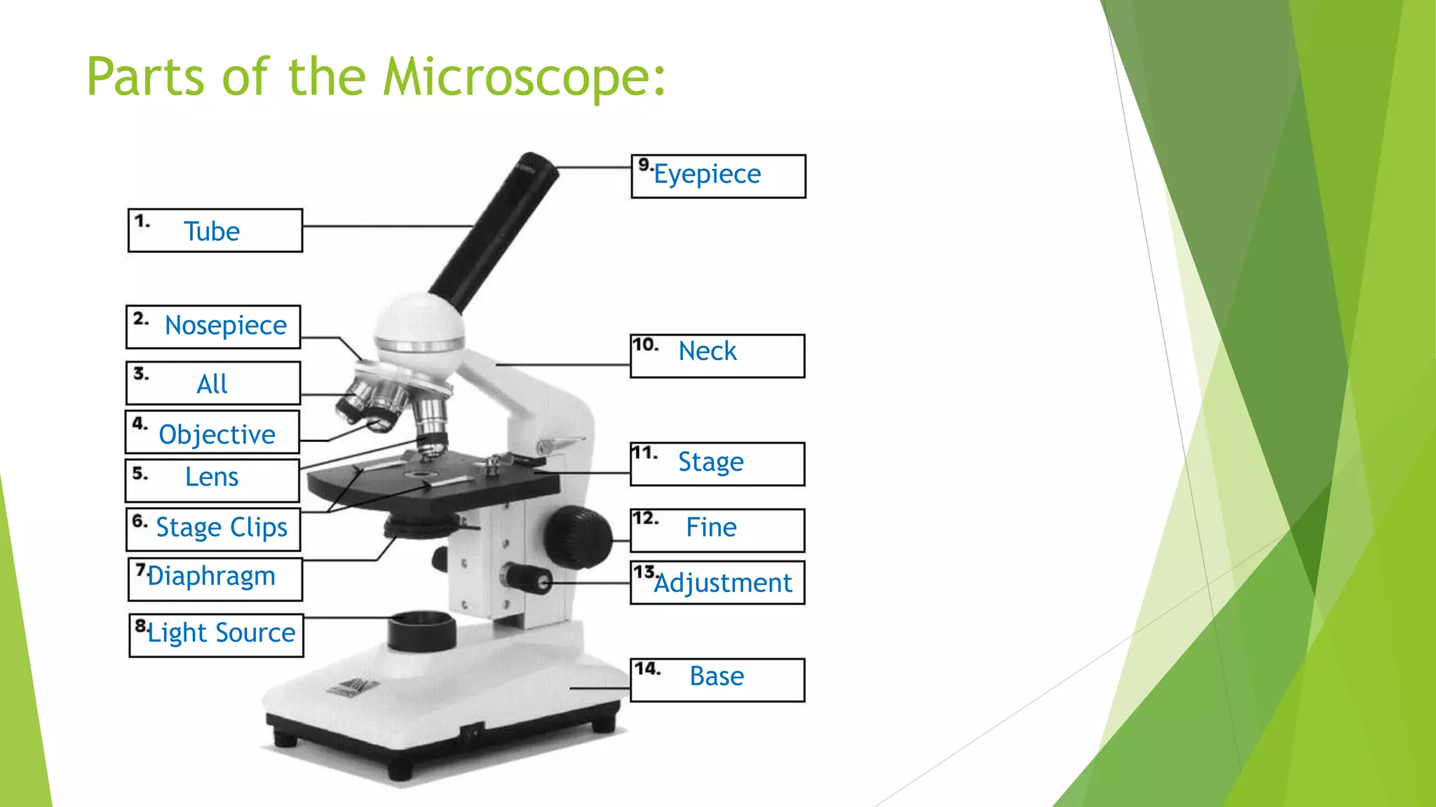 Types and functions of Microscope | PPTX