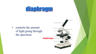 Types and functions of Microscope | PPTX