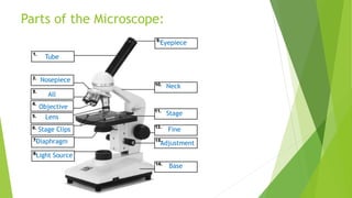 Types and functions of Microscope | PPTX