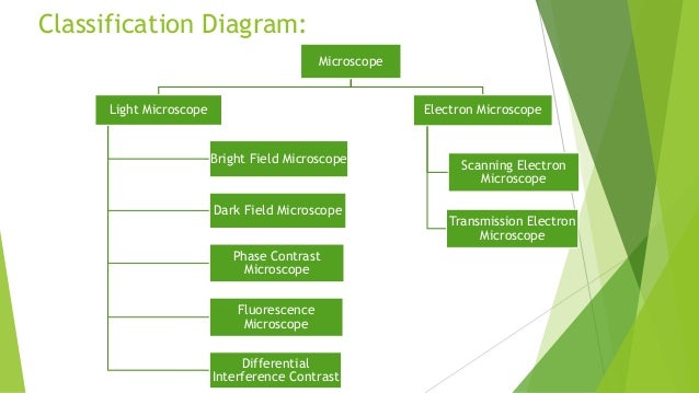 Types and functions of Microscope