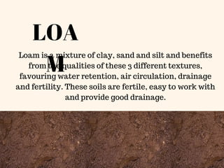 Types and Kinds of Soil Lesson for Grade 2.pptx